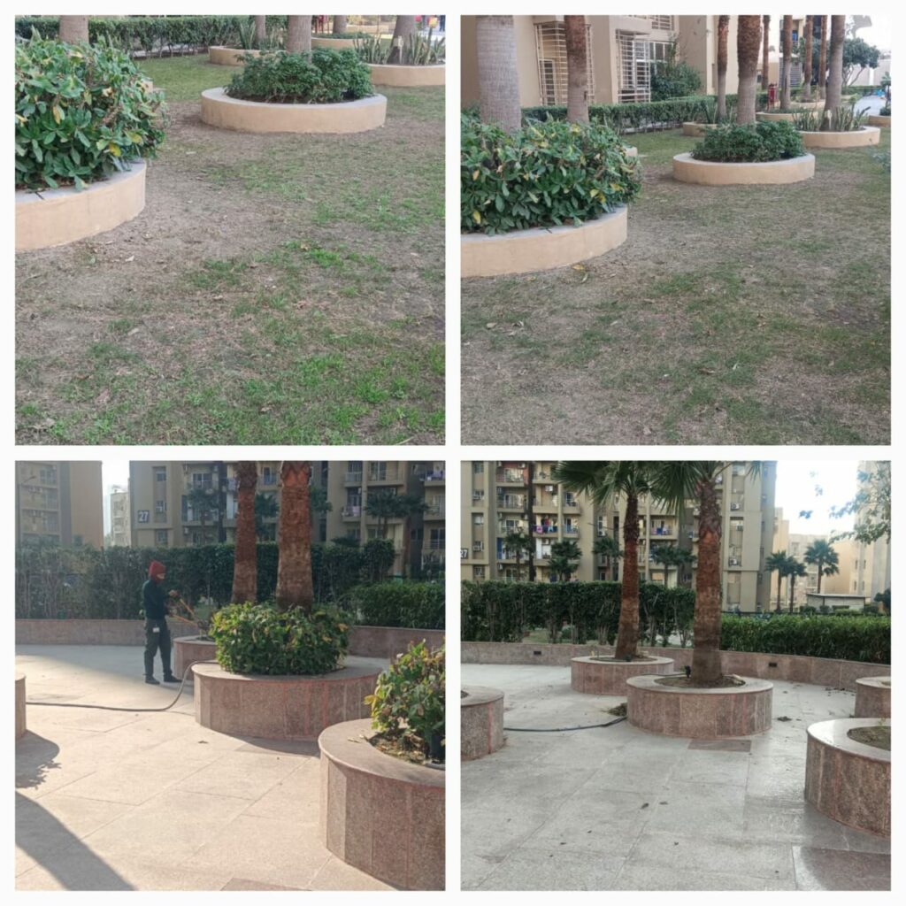 Garden Maintenance in progress at Paras Tierea Society - Paras Tierea ...