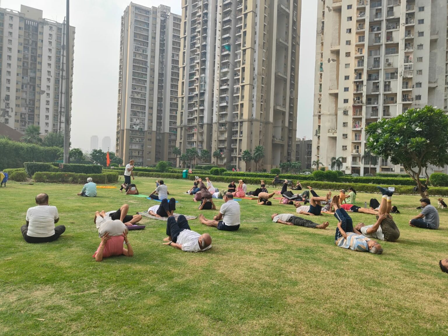 Paras Tierea Celebrates International Yoga Day with Unity and Wellness ...
